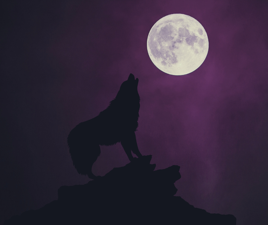 Howling At The Wolf Moon